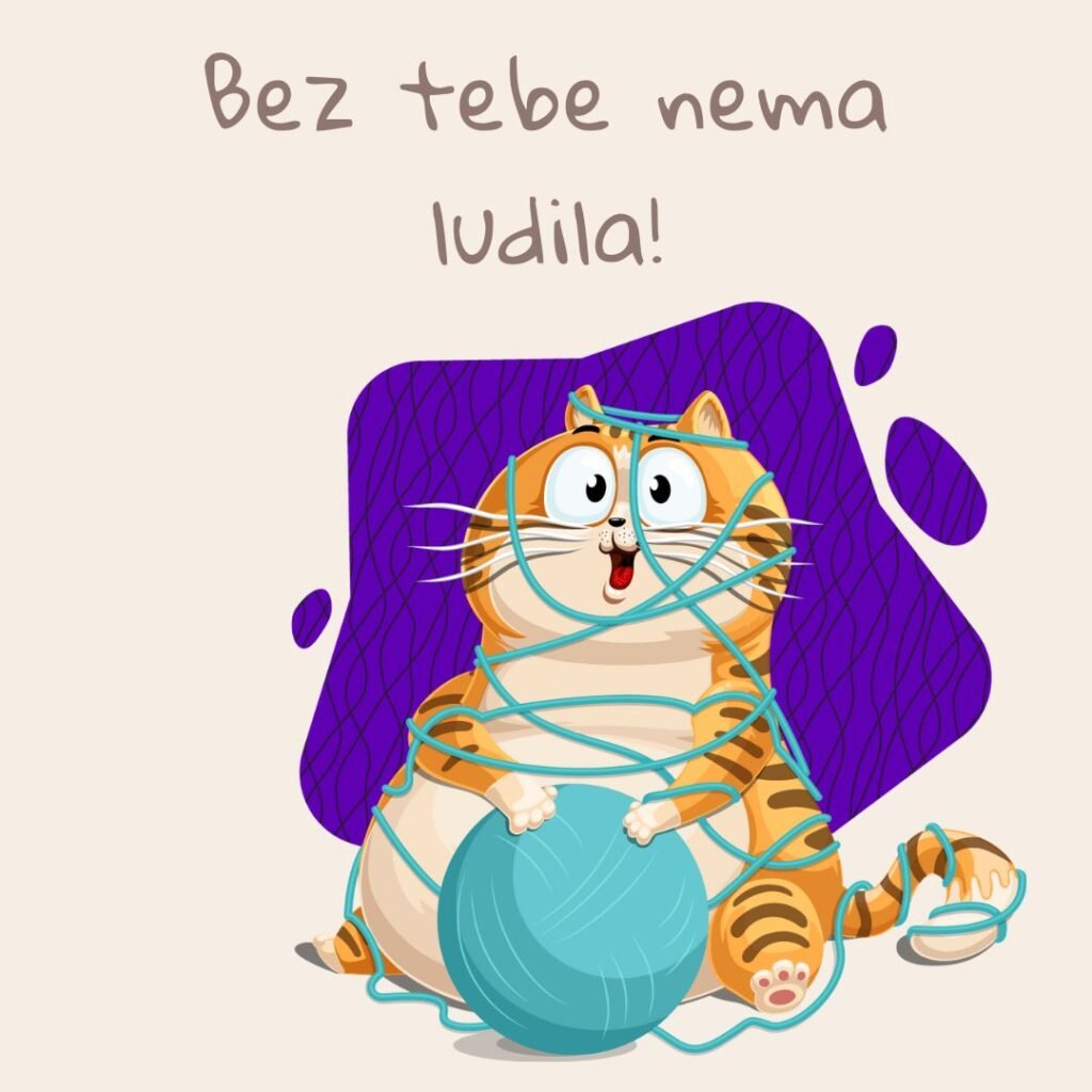 Magnet Bez tebe nema ludila - Mačketina