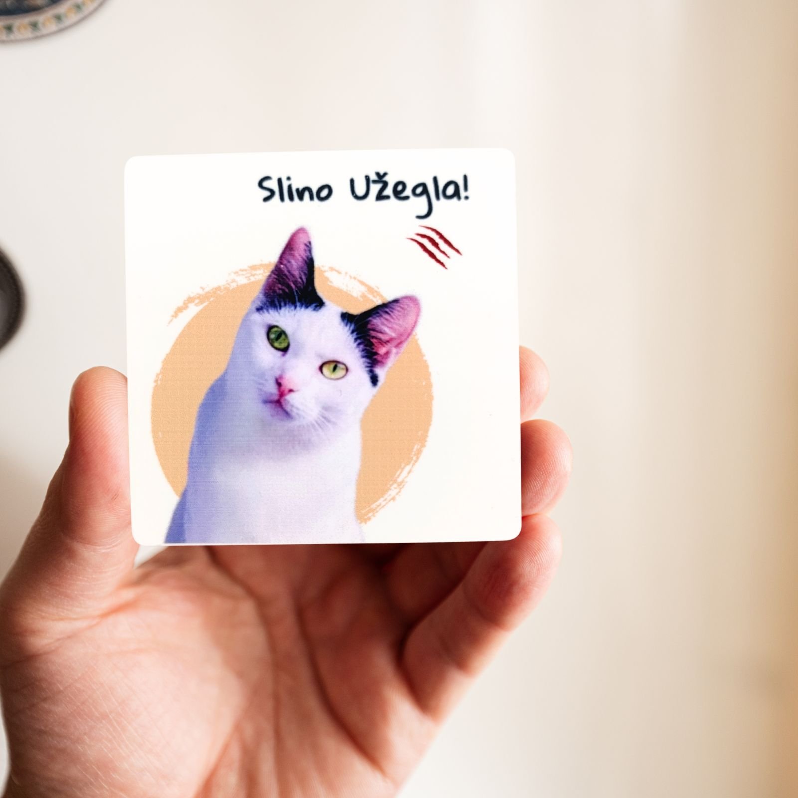 Magnet Slino Užegla – Magnet za sve Sabkoljupce - Mačketina